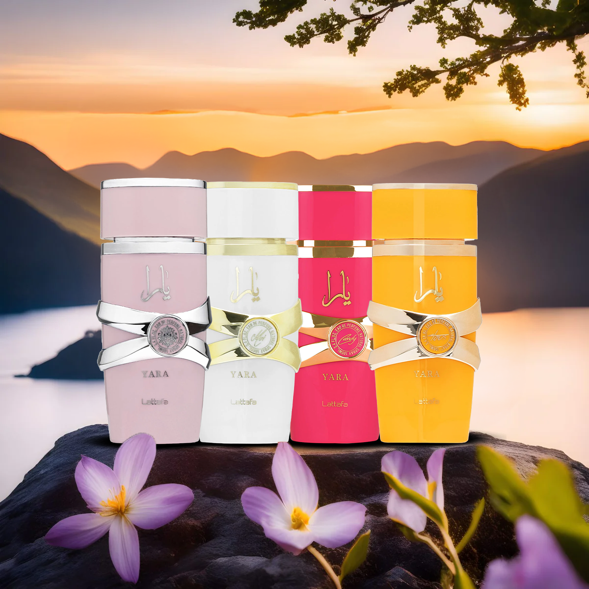 Yara Collection - 4x 100ml Each