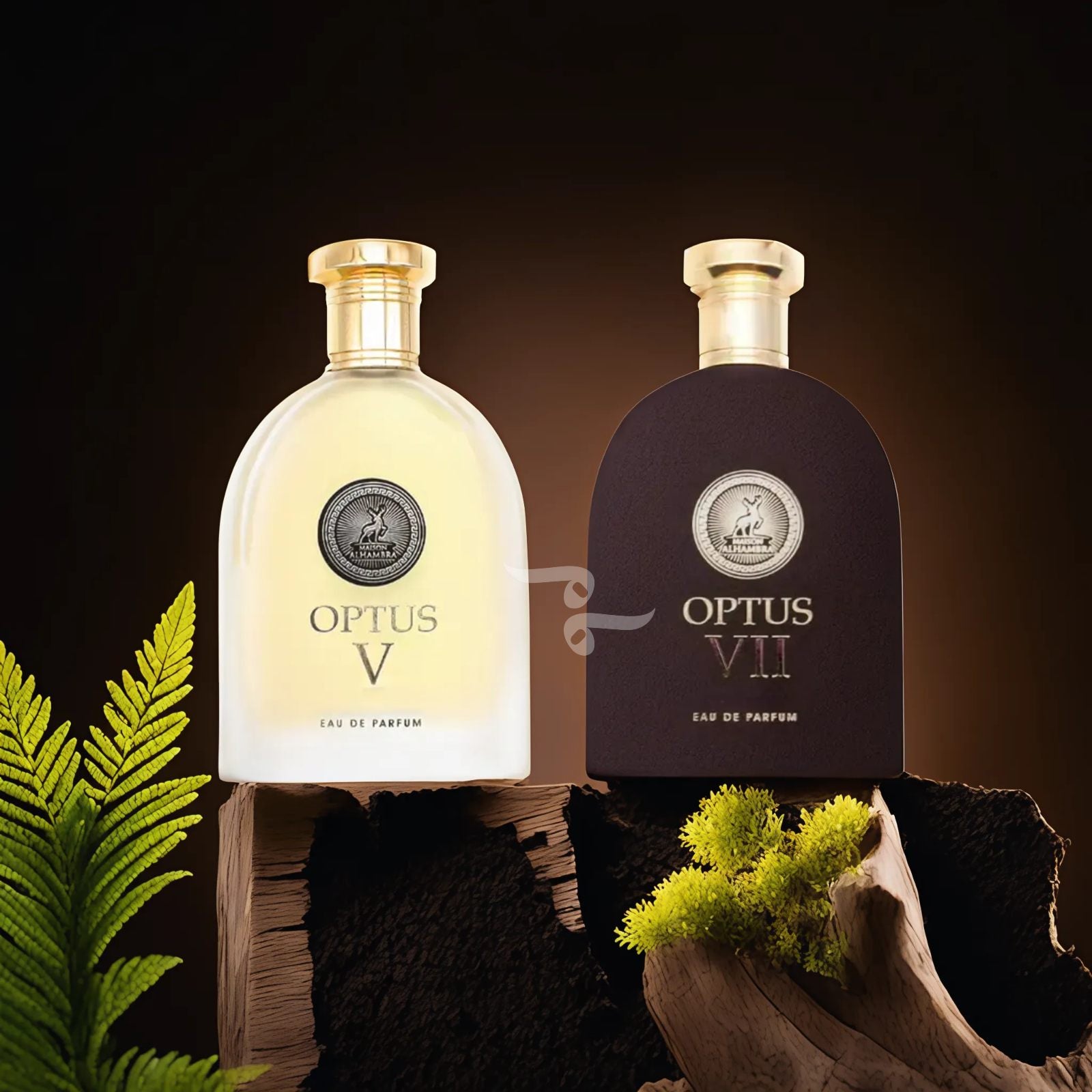 Opus 5 and 7 inspiration pack